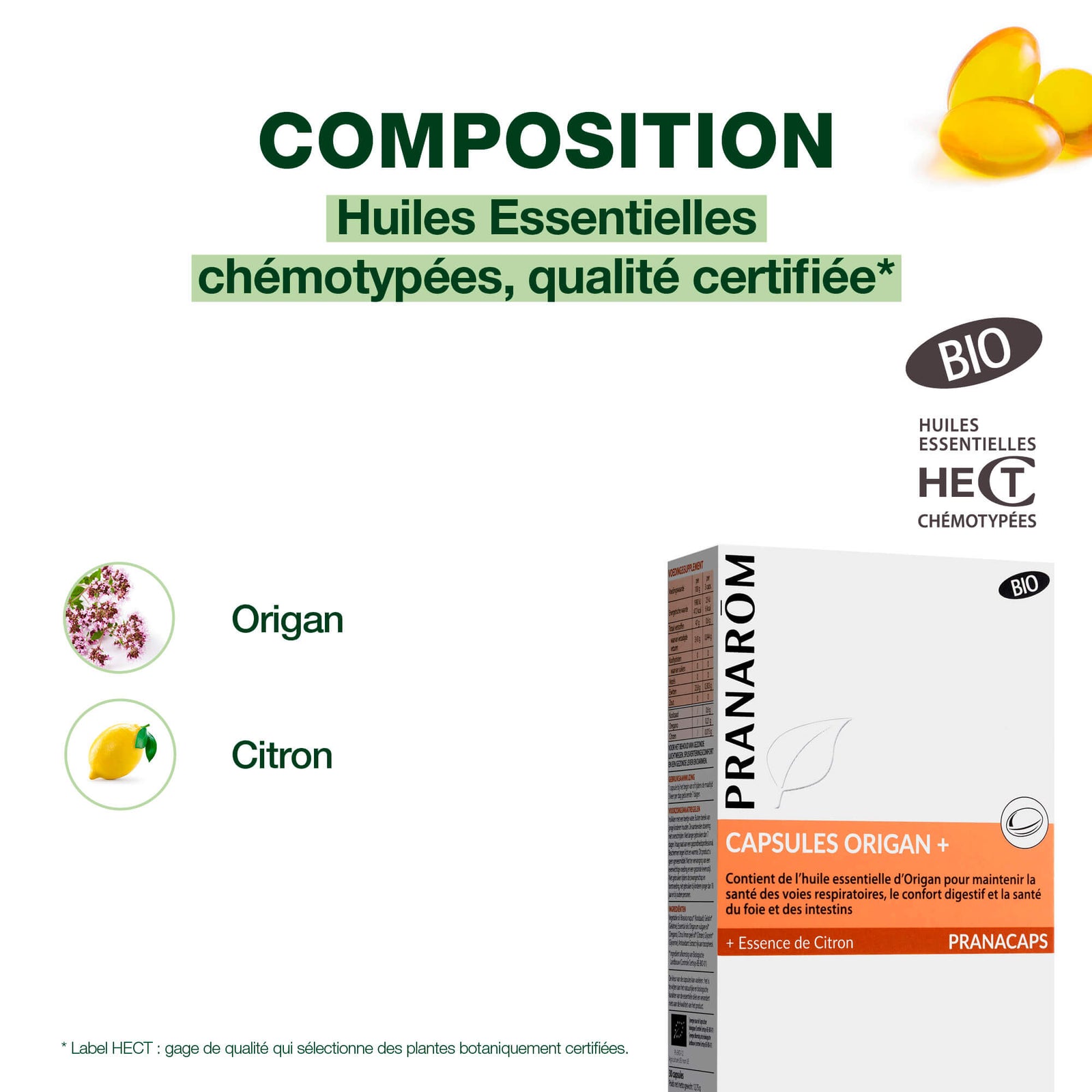 Capsules Origan + - 30 capsules Bio | Pranarôm